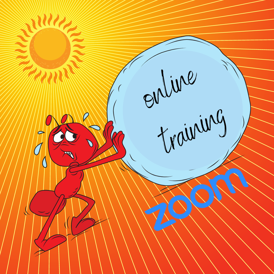 7 tips for taking your training online – SHARE!